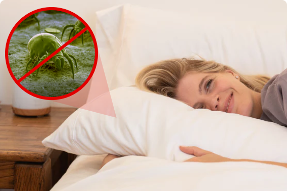 ZenFluffSleep | Übersicht